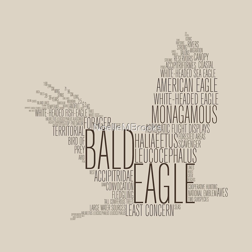 "Word Cloud Wildlife: Leucocephalus (Bald Eagle)" by NoelleMBrooks ...