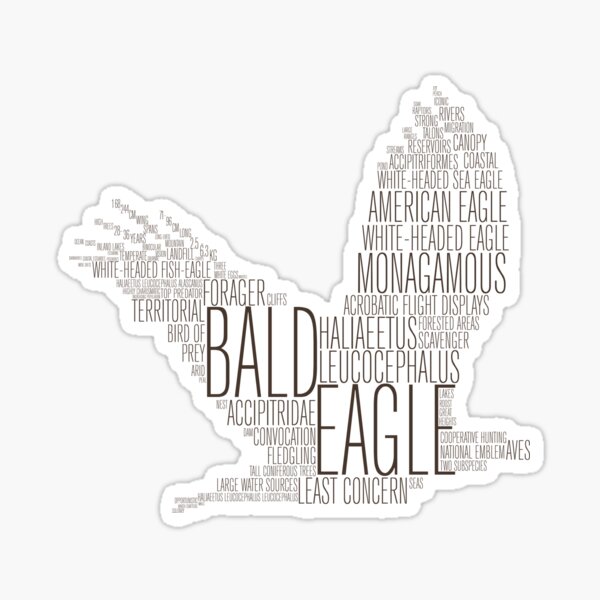 "Word Cloud Wildlife: Leucocephalus (Bald Eagle)" Sticker for Sale by ...