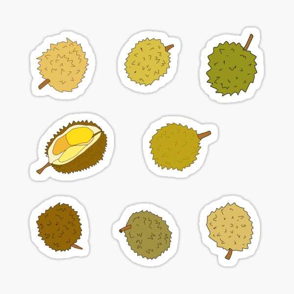 "Durian Fruit" Sticker for Sale by maxleeart | Redbubble
