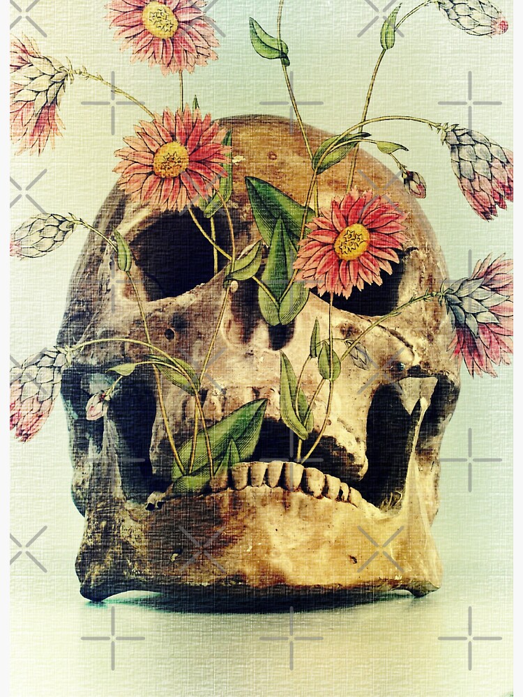 "Skeleton Skull Bones and Botany" Sticker for Sale by BienThings ...