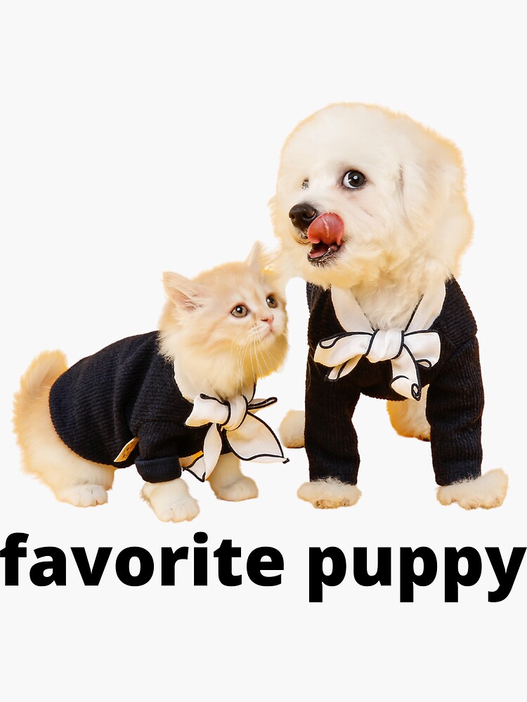 "jambo favorite puppy,dog and cat" Sticker for Sale by oumaki | Redbubble