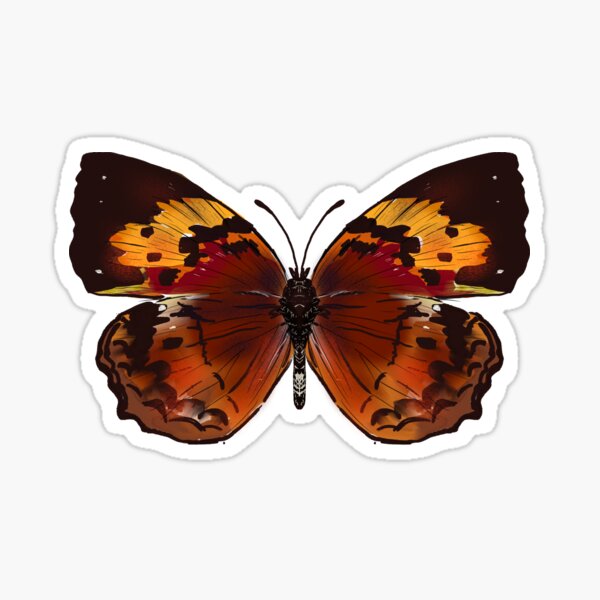 " Rare Beautiful Brown Butterfly Sticker GIFT FOR NATURE LOVERS GIFT ...