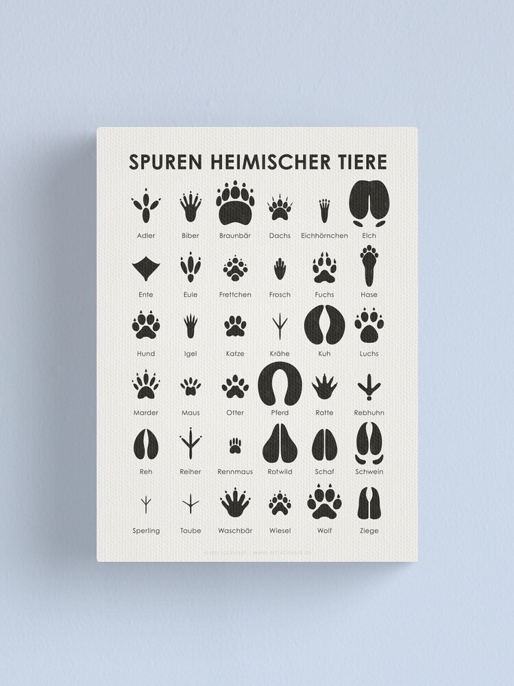 "Traces of native animals or animal tracks Display board / infographic ...