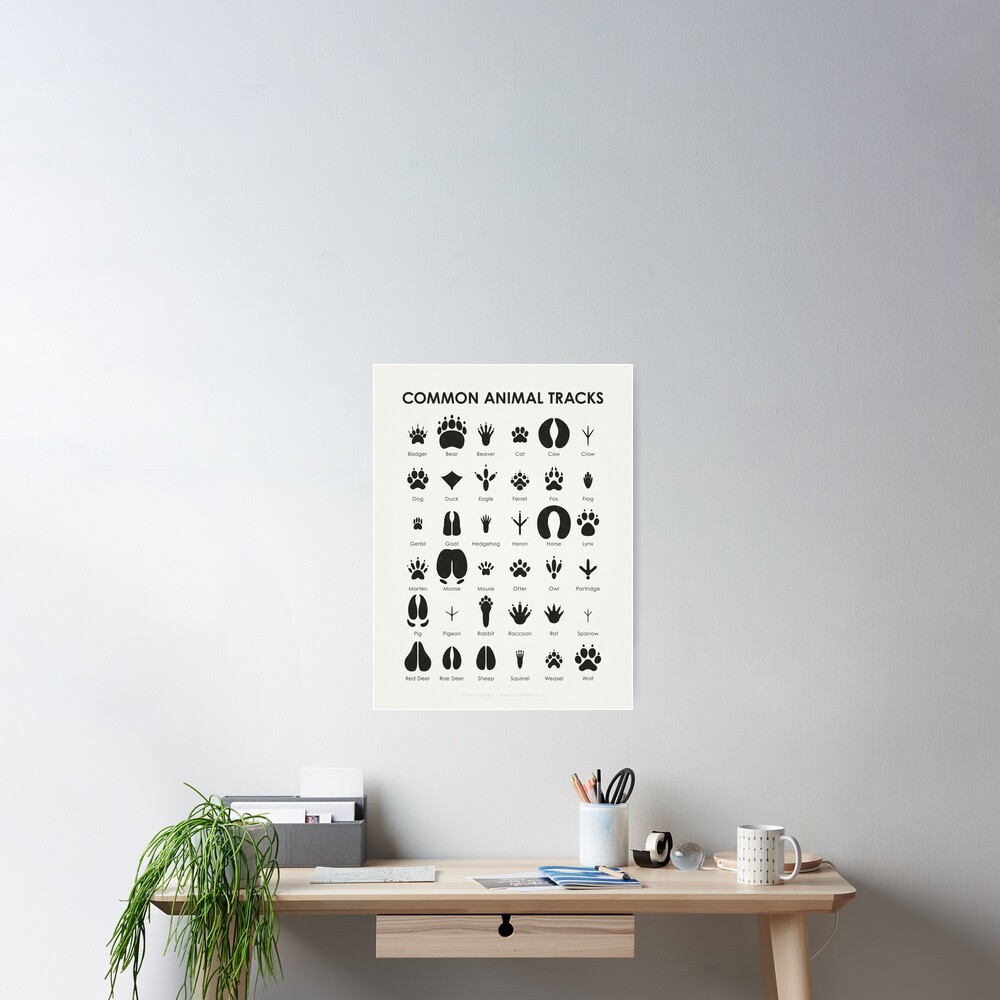 "Common Animal Tracks Identification ID Chart" Poster for Sale by ...