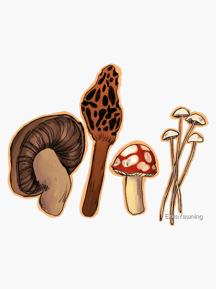 "Shrooms" Sticker for Sale by ExxoYawning | Redbubble