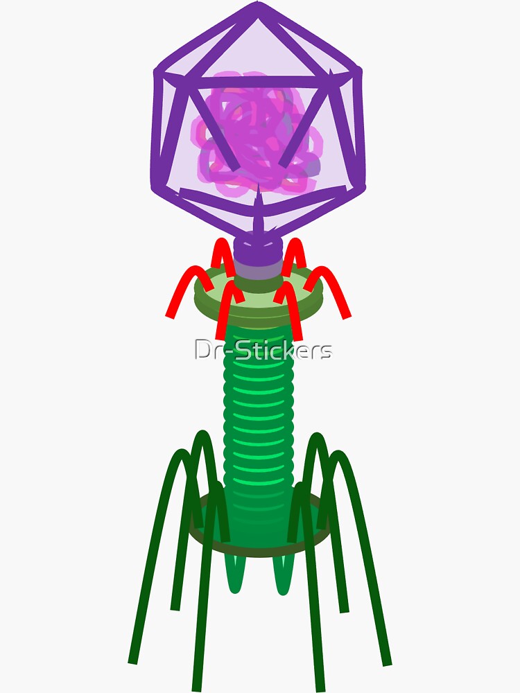 "Bacteriophage - biology of viruses" Sticker for Sale by Dr-Stickers ...
