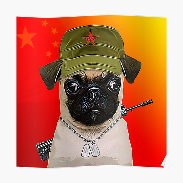 "Chinese Soldier Pug" Poster for Sale by lartdesigns | Redbubble