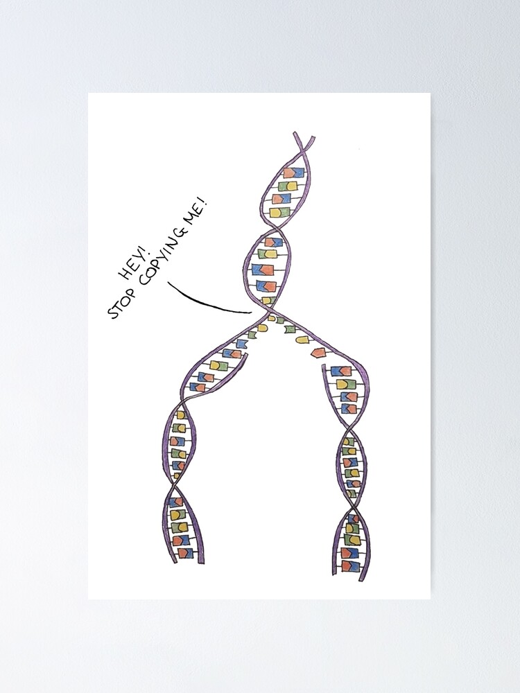 "Stop Copying Me! (DNA)" Poster by rfmdesigns | Redbubble