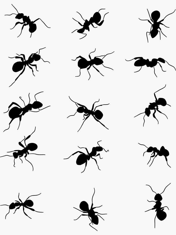 "Ants" Sticker for Sale by maxleeart | Redbubble