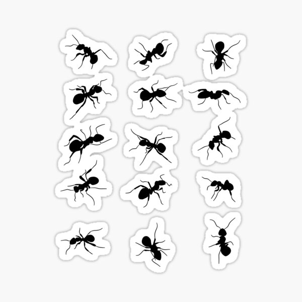 "Ants" Sticker for Sale by maxleeart | Redbubble