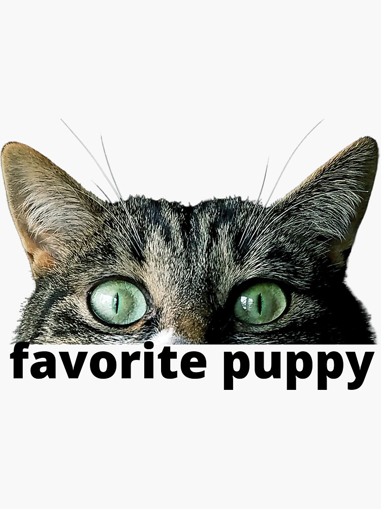 "Copy of jambo favorite puppy,dog and cat" Sticker for Sale by oumaki ...