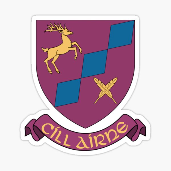 "Coat of Arms of Killarney, County Kerry" Sticker for Sale by Shav ...