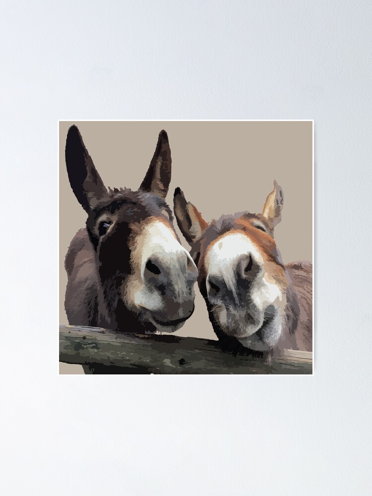"Donkey Group Photo" Poster for Sale by ElMuchachon | Redbubble