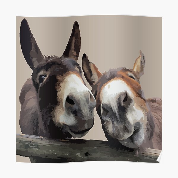 "Donkey Group Photo" Poster for Sale by ElMuchachon | Redbubble