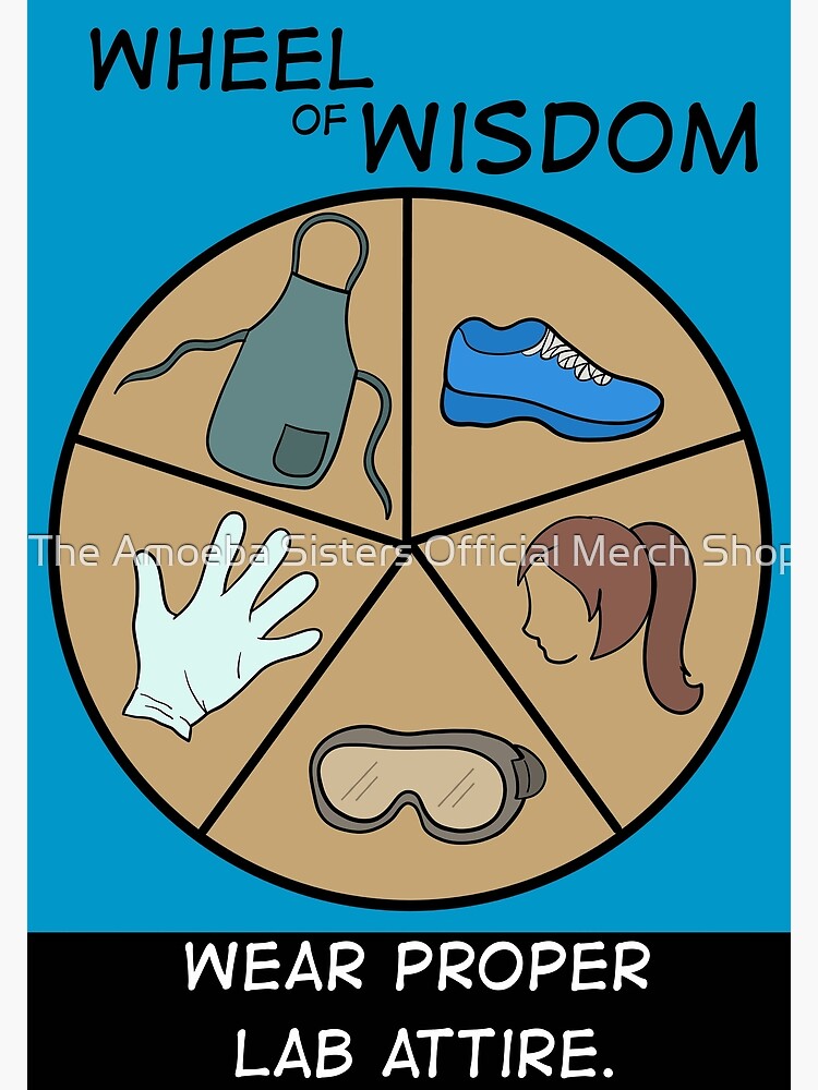 "Lab Safety Poster #3 - Wear Proper Lab Attire" Poster for Sale by ...
