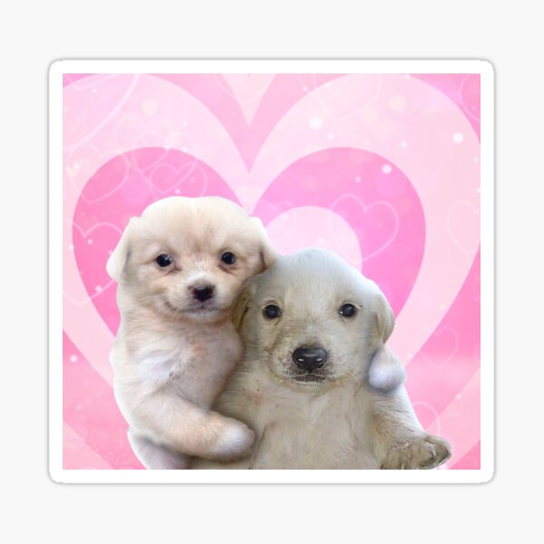 "Jotchua and his brother " Sticker for Sale by valssection | Redbubble