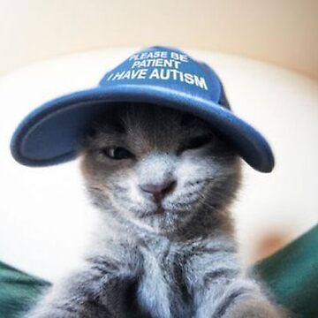 "please be patient i have autism cat" Art Print for Sale by papa-zoinks ...