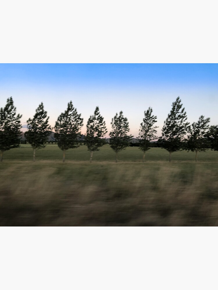 "Time Flies (Photograph of Trees) " Sticker for Sale by Glorious-World ...