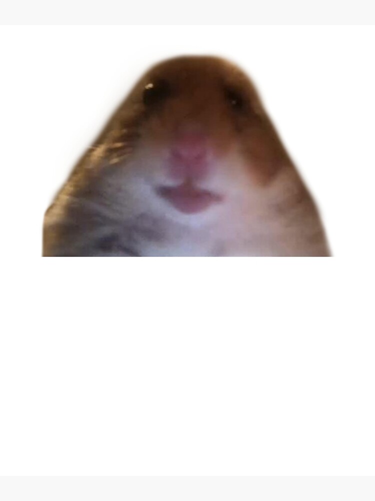 "Funny hamster meme" Poster for Sale by LC-SHOP | Redbubble