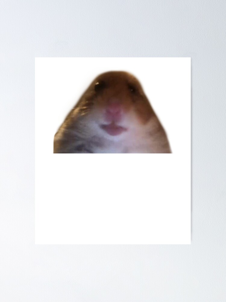 "Funny hamster meme" Poster for Sale by LC-SHOP | Redbubble