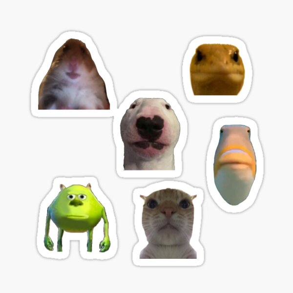 "Staring hamster meme" Sticker for Sale by LC-SHOP | Redbubble