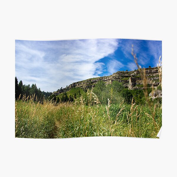 "Grassy Landscape" Poster for Sale by devinswy | Redbubble