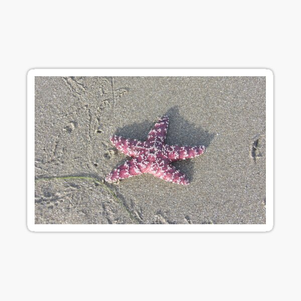 " Bastendorff Beach, Oregon" Sticker for Sale by A-Collins | Redbubble