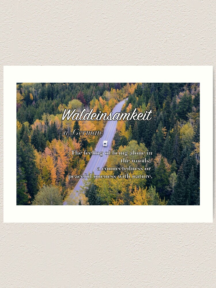 "Waldeinsamkeit (untranslatable word) The feeling of being alone in the ...