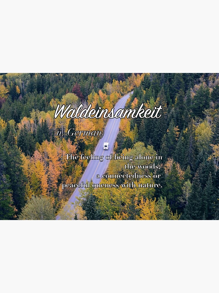 "Waldeinsamkeit (untranslatable word) The feeling of being alone in the ...