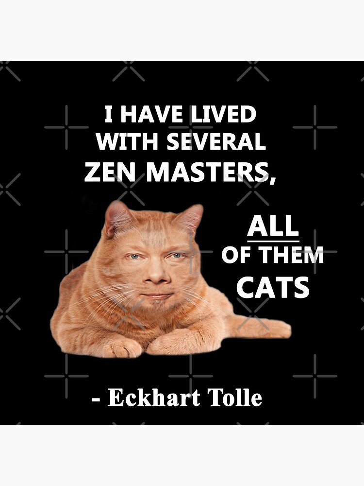 "Eckhart Tolle Zen Master Cat quote - “I have lived with several zen ...