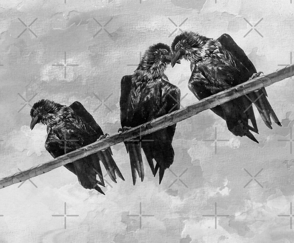 "Three Ravens" by CarolM | Redbubble