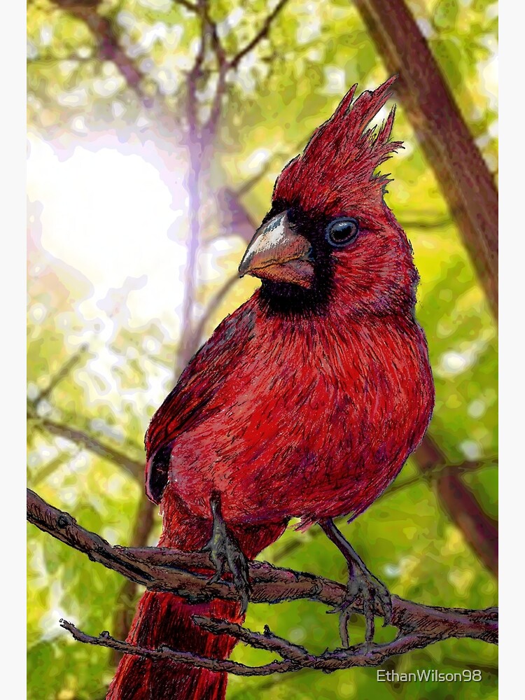 "Cardinal" Poster for Sale by EthanWilson98 | Redbubble