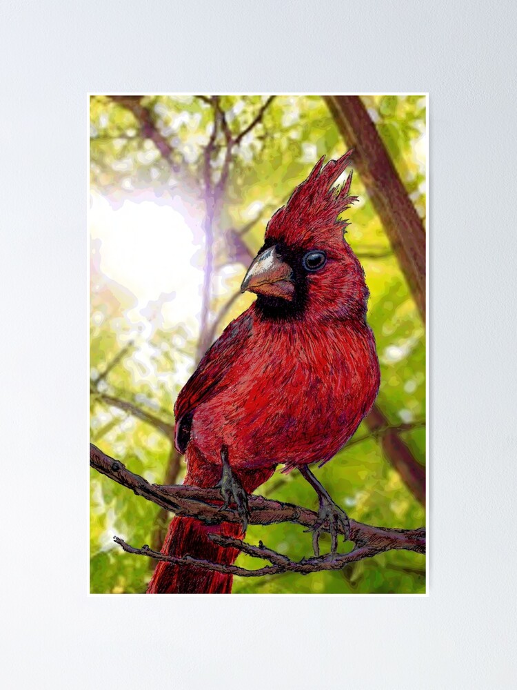 "Cardinal" Poster for Sale by EthanWilson98 | Redbubble