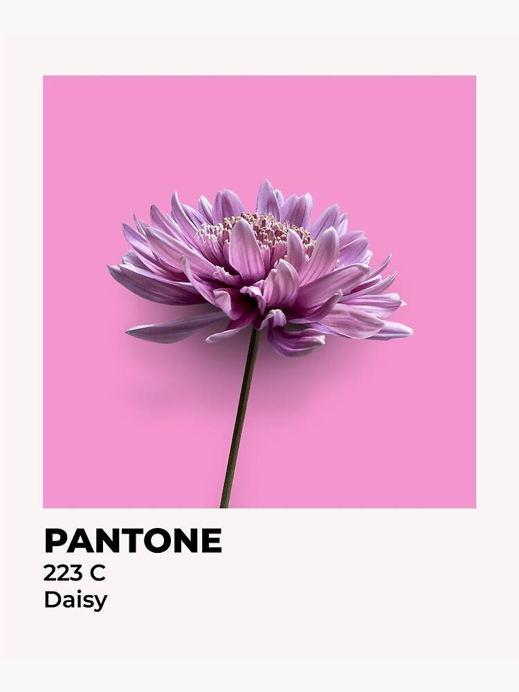 "Pantone - Daisy" Poster for Sale by DearDewi | Redbubble