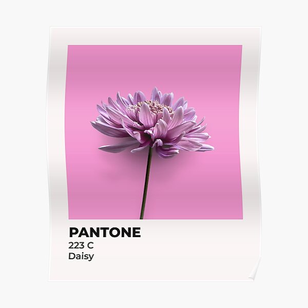 "Pantone - Daisy" Poster for Sale by DearDewi | Redbubble