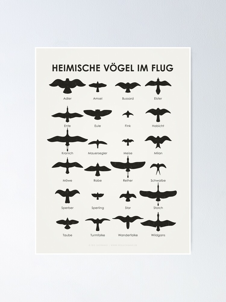 "Native birds in flight / bird silhouettes (German)" Poster by Iris ...