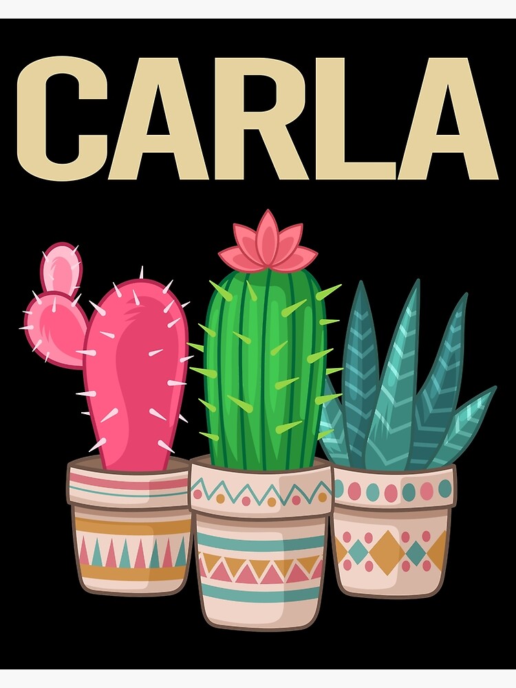 "Happy Cactus Carla" Poster for Sale by DavetteJungle | Redbubble