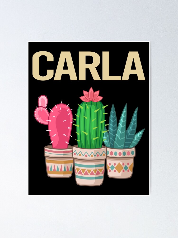 "Happy Cactus Carla" Poster for Sale by DavetteJungle | Redbubble