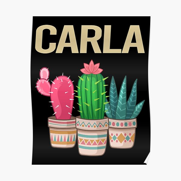 "Happy Cactus Carla" Poster for Sale by DavetteJungle | Redbubble