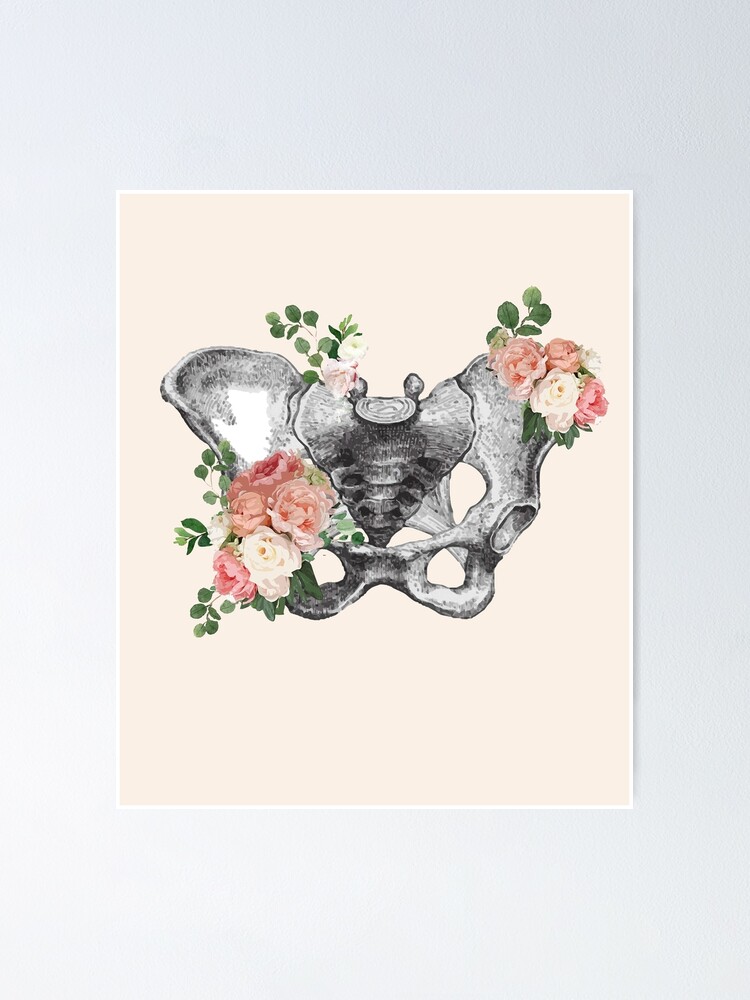 "Rose and anatomy female pelvis, floral, feminism, anatomy, anatomical ...