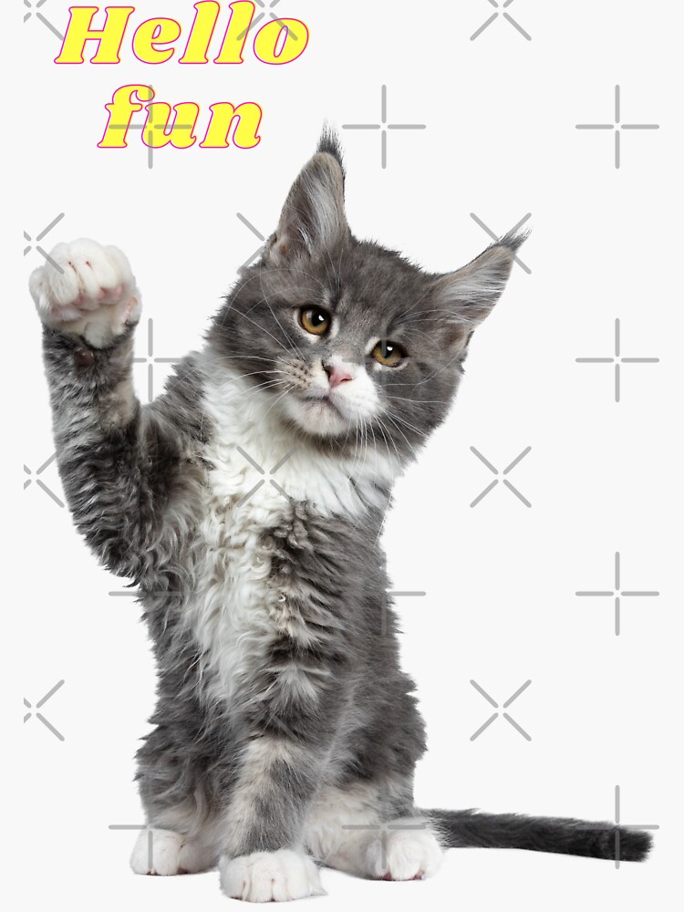 "Cat Follows Fashion hello fun ,Sheliya really good " Sticker for Sale ...