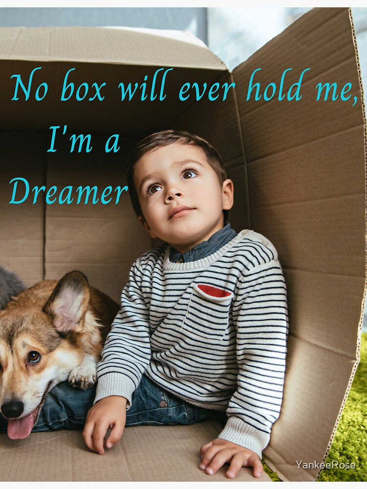 "No Box" Sticker for Sale by YankeeRose | Redbubble