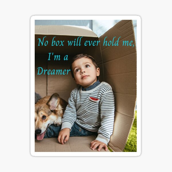 "No Box" Sticker for Sale by YankeeRose | Redbubble