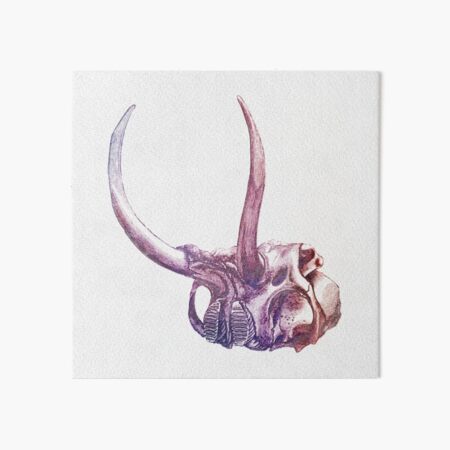 "Elephant skull drawing | wildlife print | 1900 edition of The Great ...