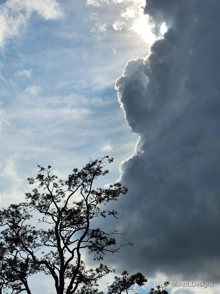"Split Sky and Pine" Poster for Sale by MandLDesigns | Redbubble