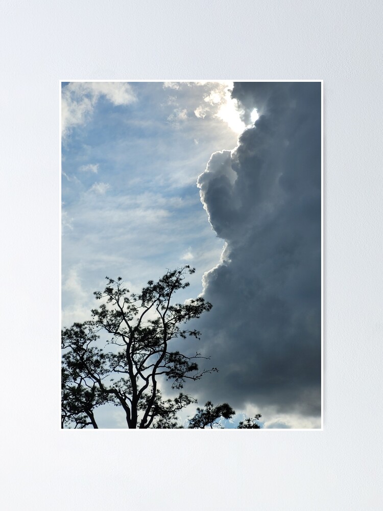 "Split Sky and Pine" Poster for Sale by MandLDesigns | Redbubble
