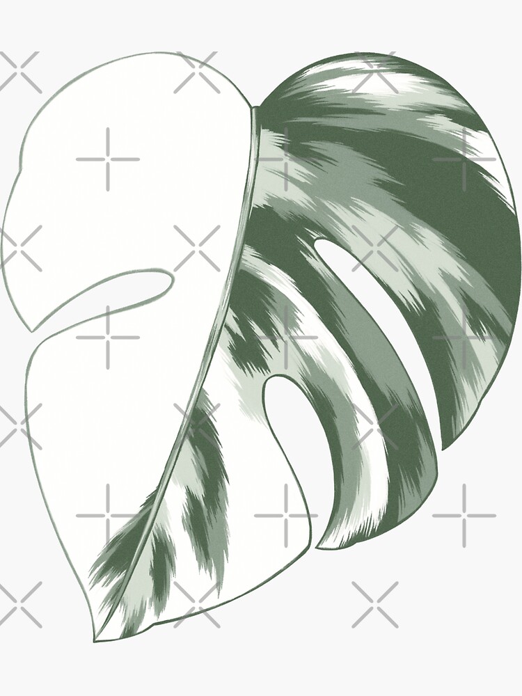 "Variegated Monstera" Sticker for Sale by Art-by-Chimerah | Redbubble