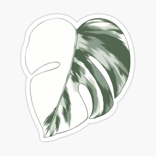 "Variegated Monstera" Sticker for Sale by Art-by-Chimerah | Redbubble