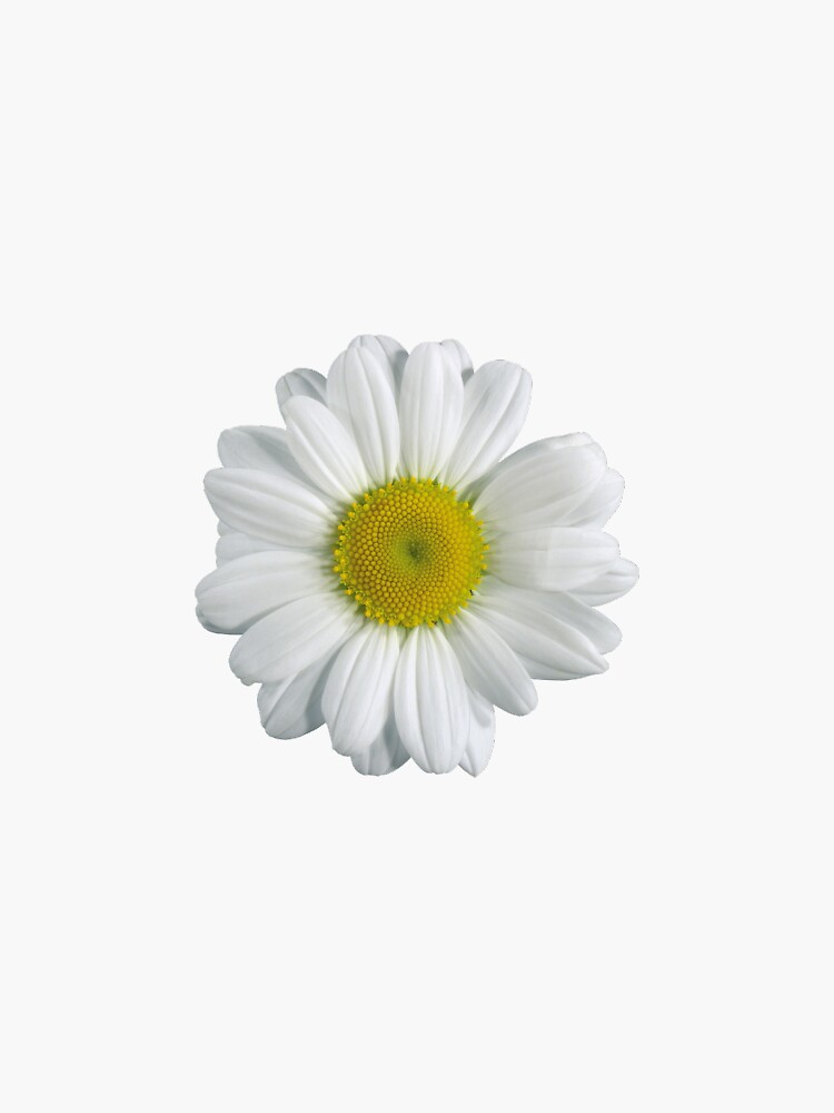 "White Flower" Sticker for Sale by botanica-plus | Redbubble