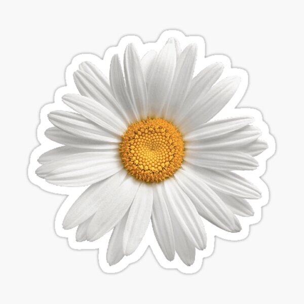 "White Flower " Sticker for Sale by botanica-plus | Redbubble